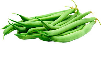 Green Life | Chauchas